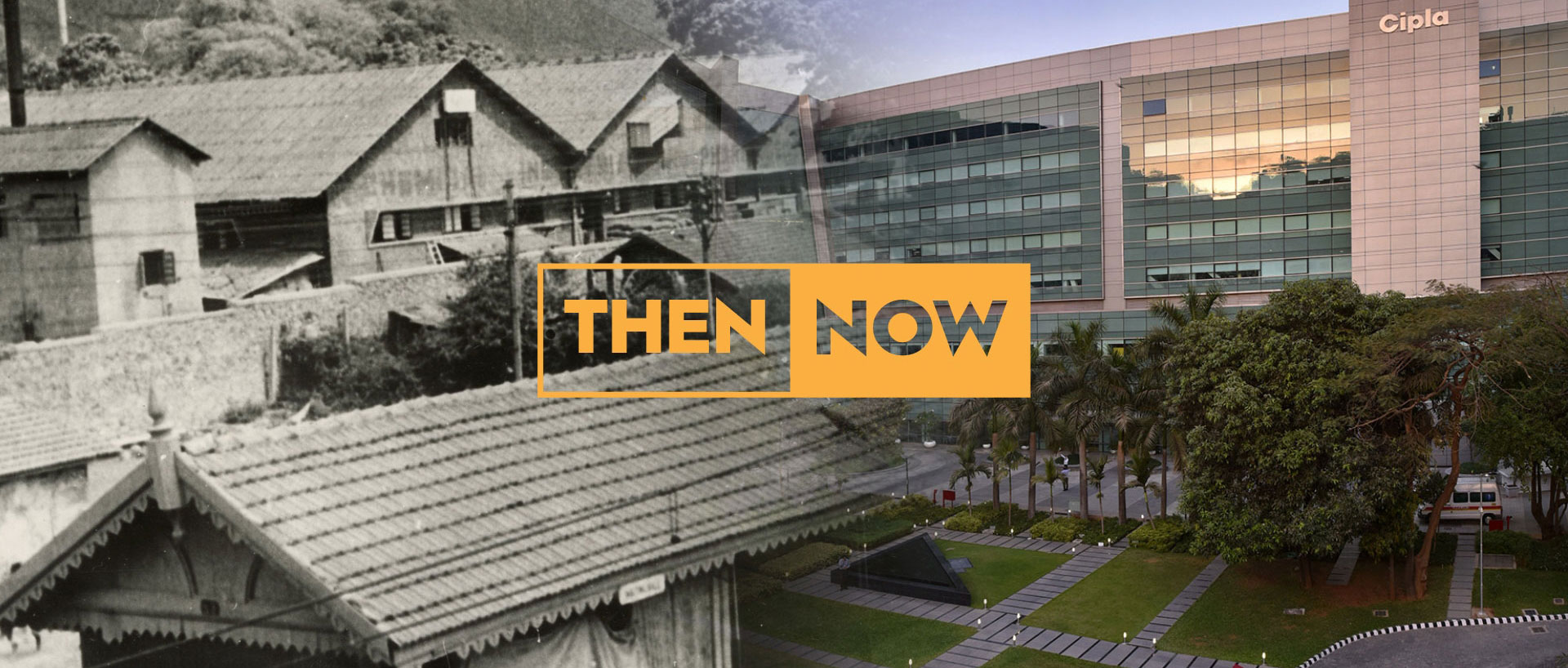 Cipla Archive | Cipla